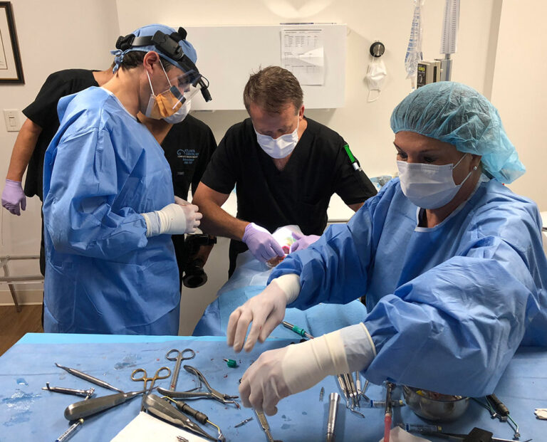 Services | SynrG Lab